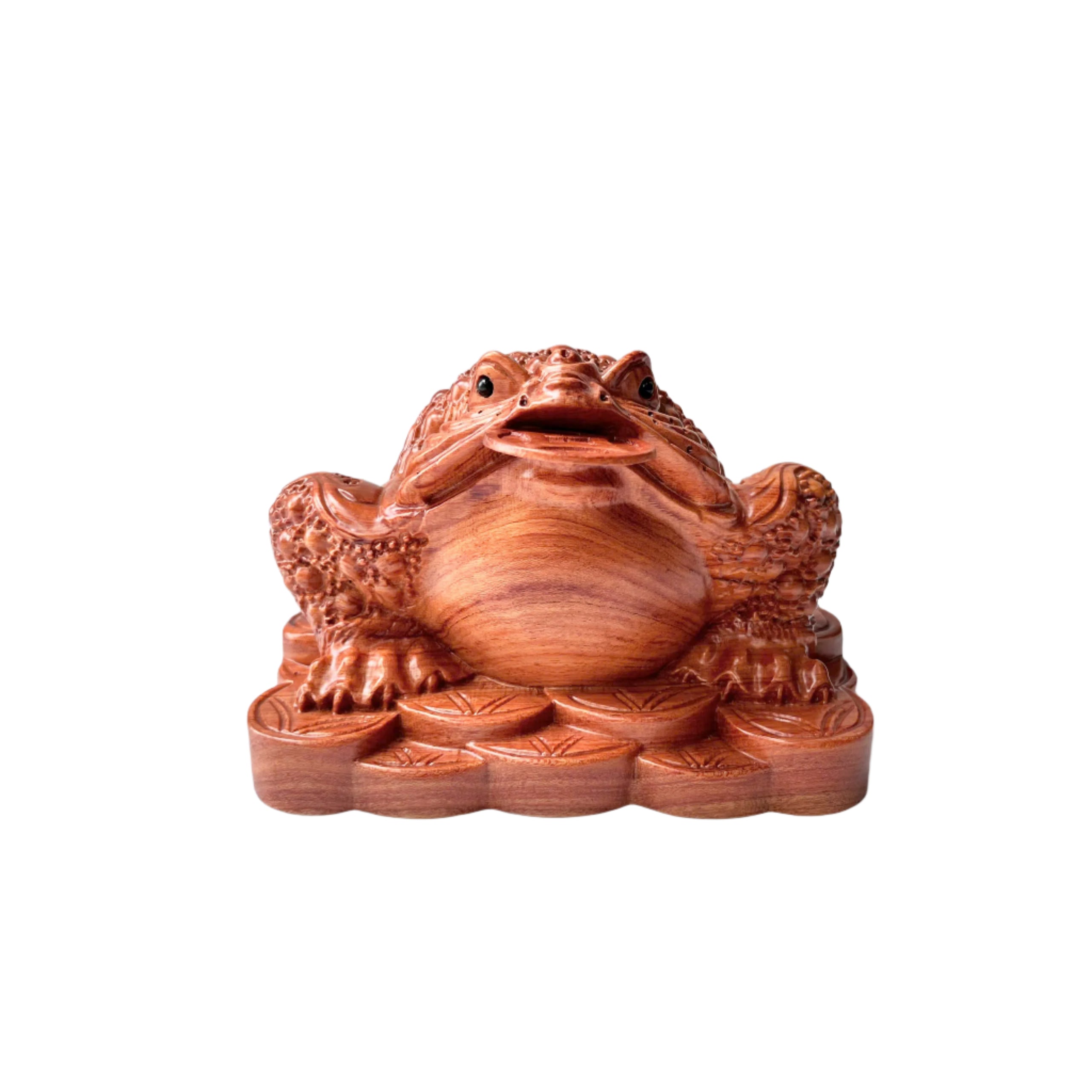 Feng Shui Money Toad Holding a Gold Coin – Symbol of Prosperity and Go ...