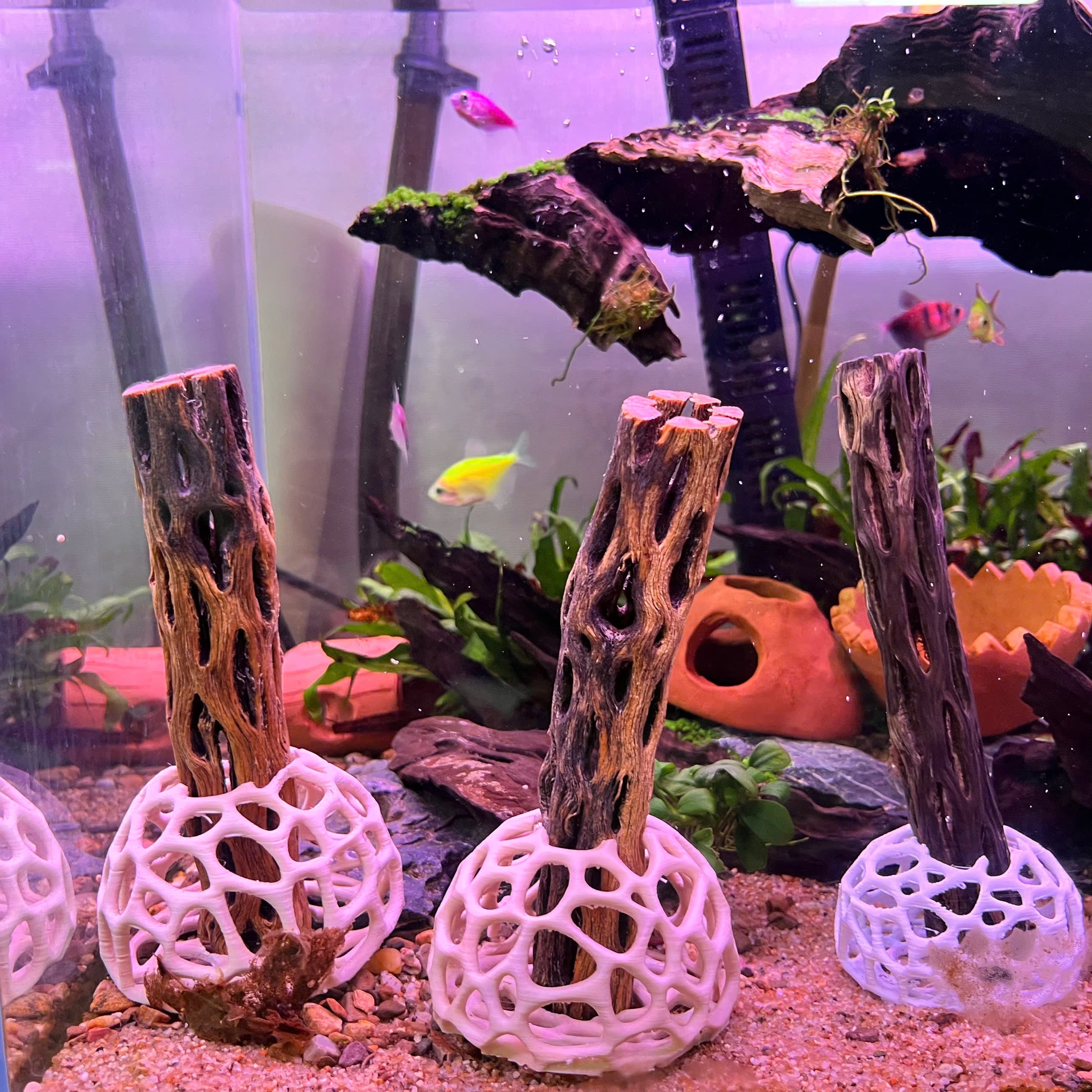 Aquarium Dome Decor, Home Hide Out, Aquarium Dome, Aquarium Safe Plast ...